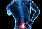 Acute Low back pain and Core stability | Physiohealth